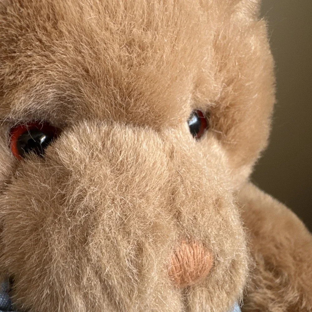 Peek-a-boo Pals | Toys | Vtg Mango Peekaboo Pals Teddy Bear Magnetic ...